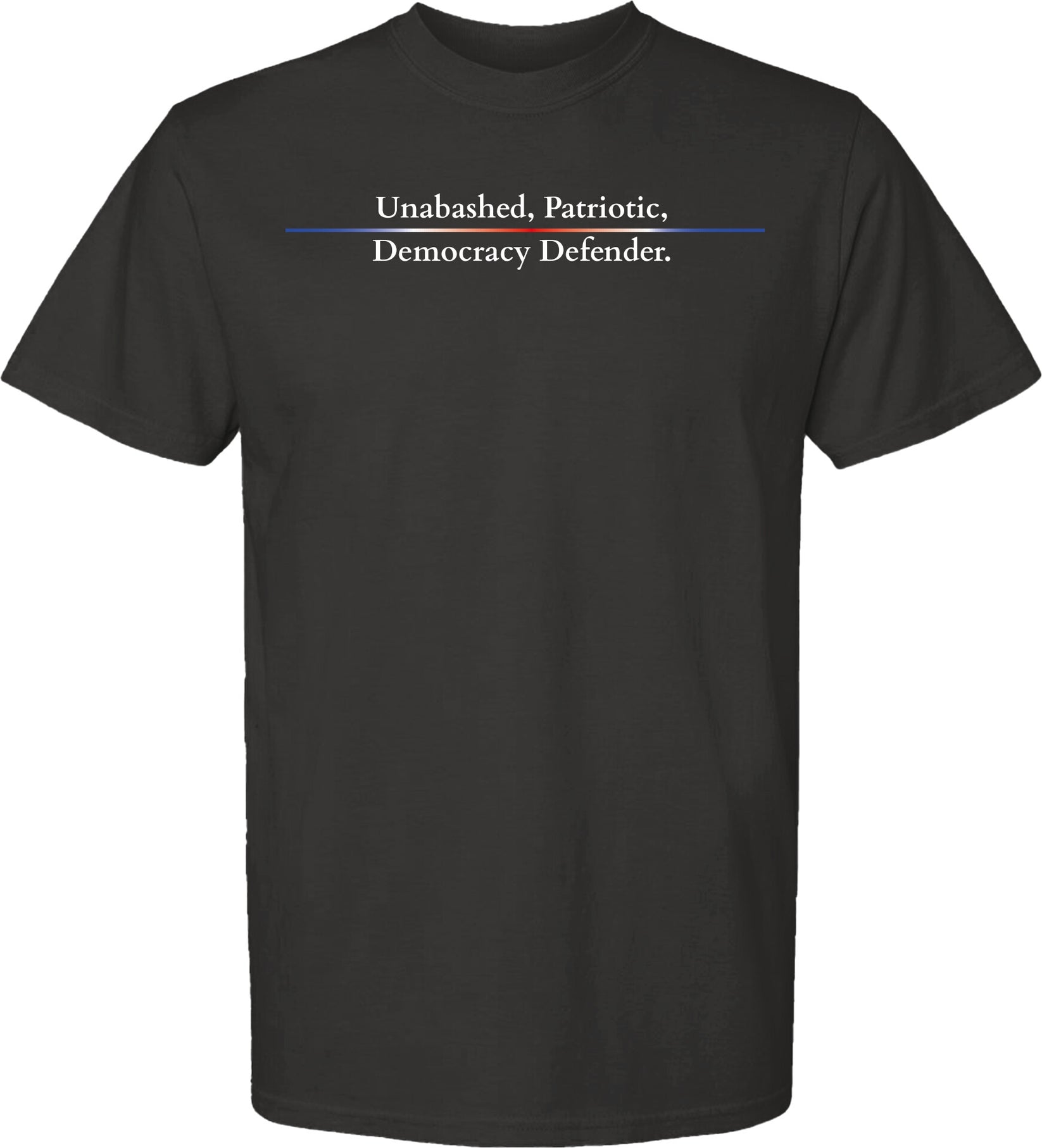 Democracy Defender - Oversized Tee – Lincoln Square Media